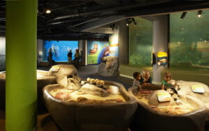 Xypex Modified - Coating